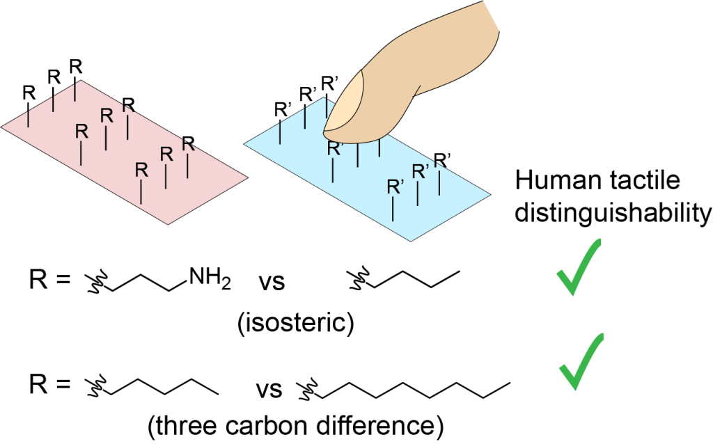 Publications | Dhong Lab